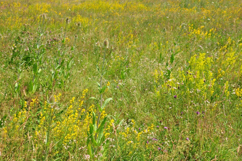 Fallow land stock image. Image of environment, bavaria - 101757037