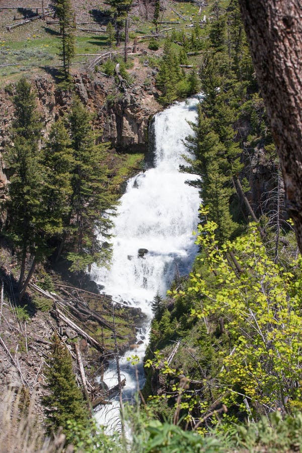 Yellowstone River Flows through the Grand Canyon of Yellowstone Stock ...