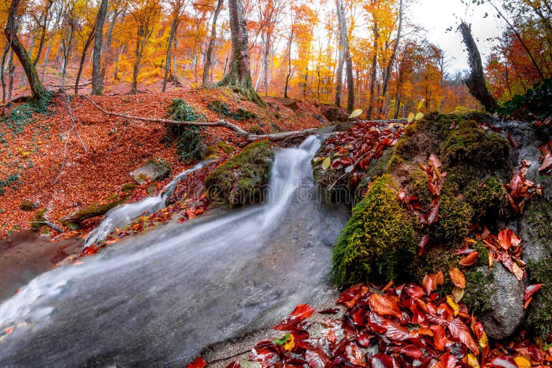 Waterfall in the forest stock photo. Image of scenic - 208073282