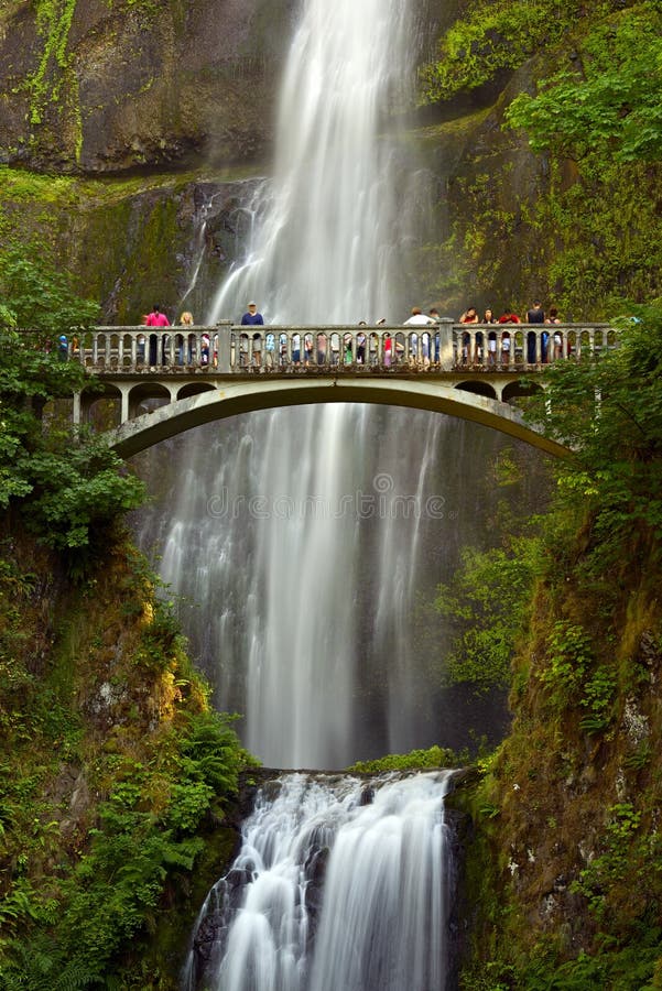 37+ Falls multnomah Free Stock Photos - StockFreeImages