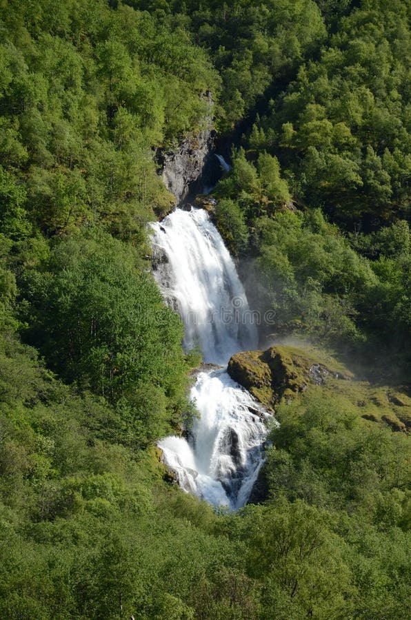 Falls of Sognefjord stock image. Image of rainforest - 84581959
