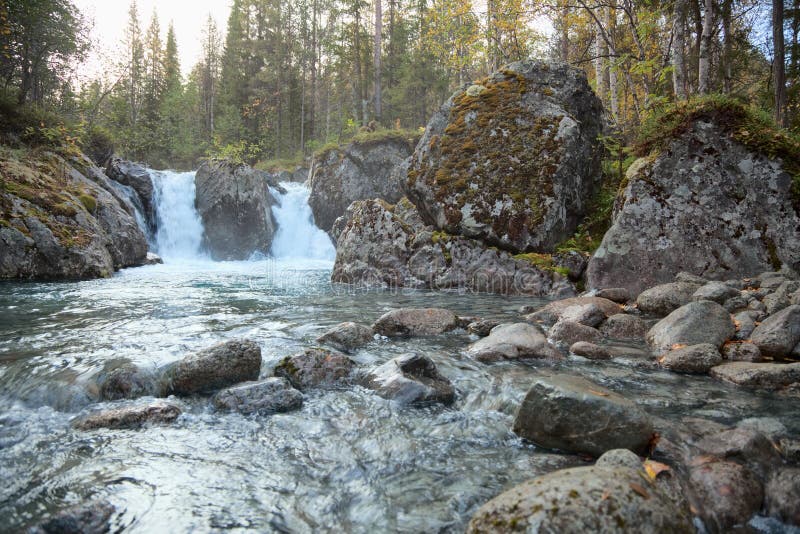 Stream Through A Northern Wisconsin Green Forest Stock Photo - Image of ...