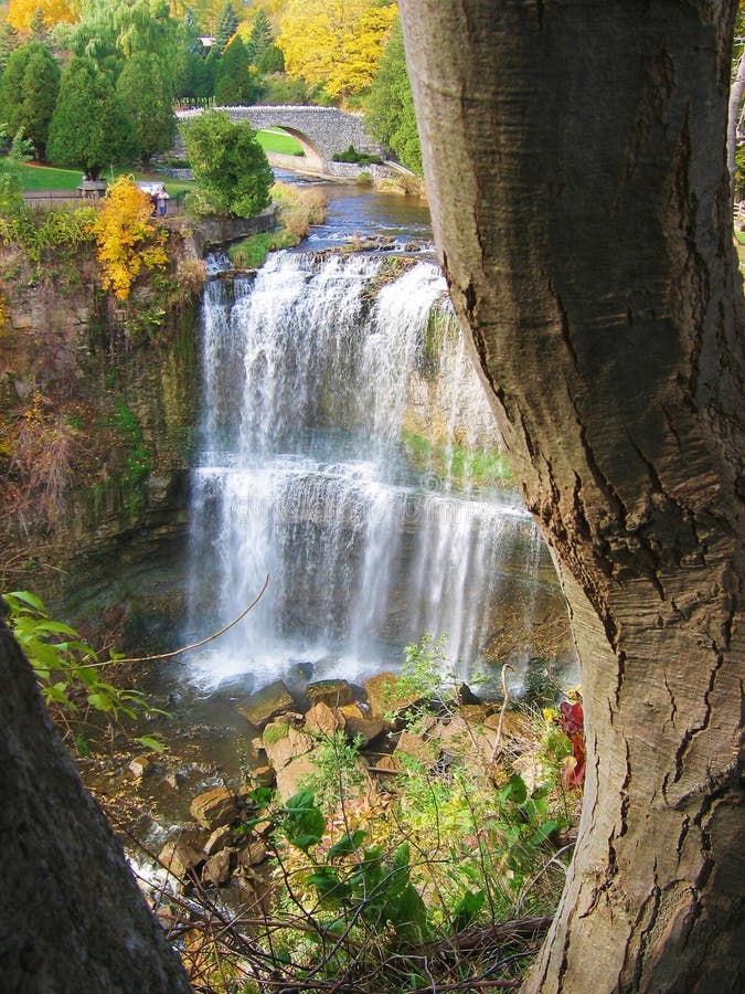 Secluded Tropical Waterfall Stock Image - Image of tropical, plants ...