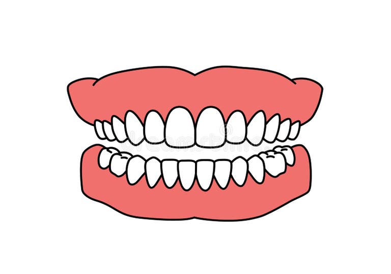 False teeth clip art stock vector. Illustration of dental - 364073225