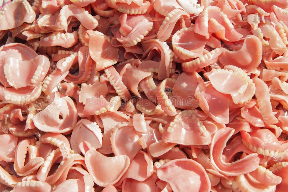 False Teeth stock image. Image of model, hygiene, fake - 35894223