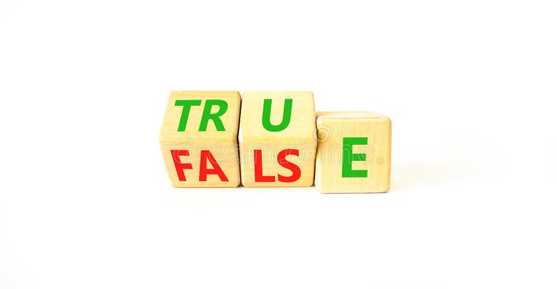 False or True Symbol. Turned Wooden Cubes and Changed the Word False To ...