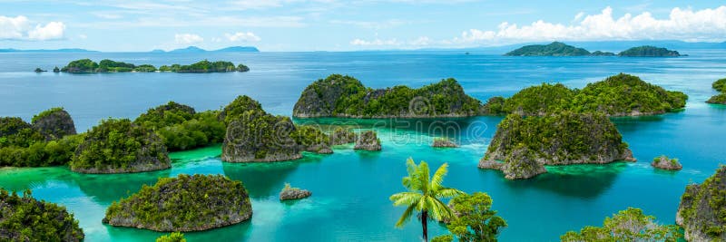 Fam Island in Raja Ampat stock photo. Image of biology - 57882202
