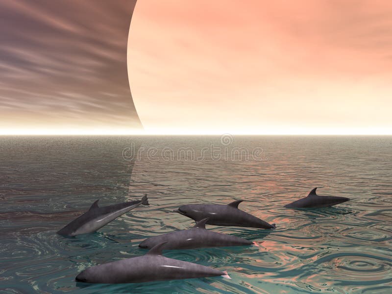 Famiglia della focena illustrazione di stock. Illustrazione di ...