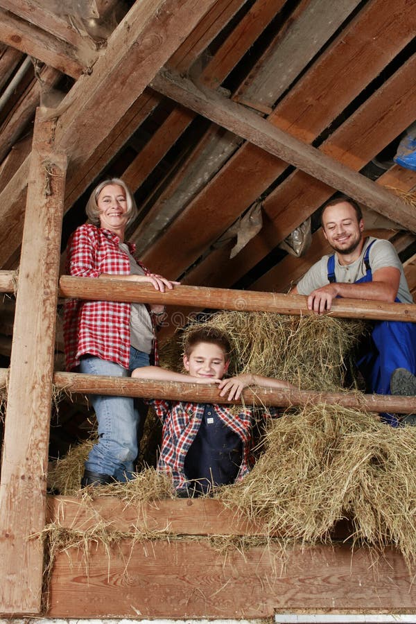Familia en un pajar foto de archivo. Imagen de pila, granja - 37720204