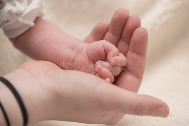 Familiar Hands. Small Newborn Baby Hand in Big Hand of Parent Stock ...
