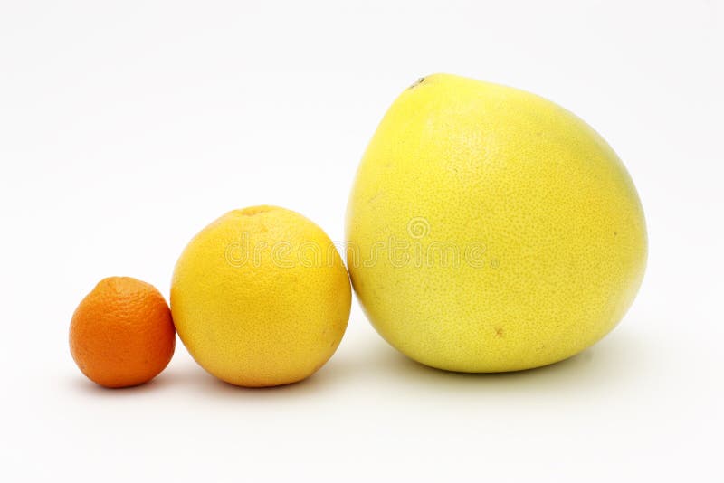 Familie van citrusvrucht stock afbeelding. Image of mandarijn - 13278277