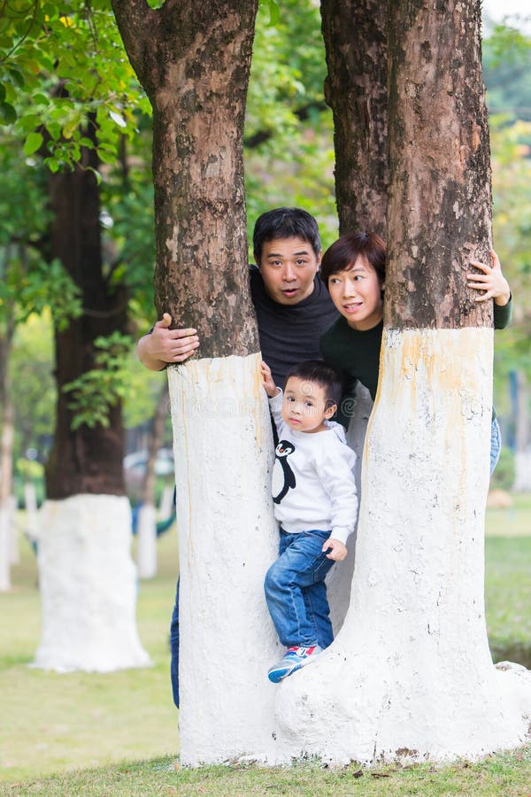 Families Look Out Curiously between the Trees Stock Image - Image of ...