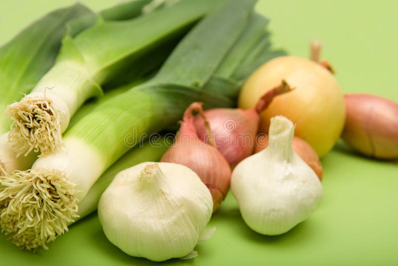 Famille d'oignon image stock. Image du abondance, fond - 8686541