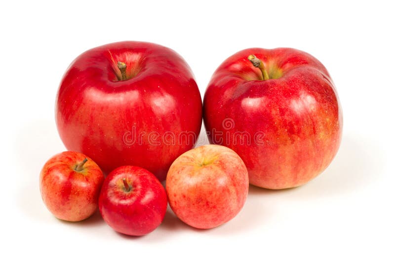 A Family of Apples. Large and Small Apples Stock Photo - Image of ...