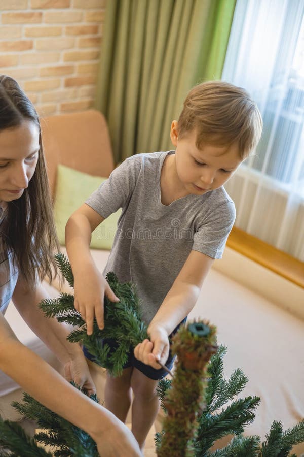 Family Assembling, Shaping Hook-in Artificial Christmas Tree at Home ...