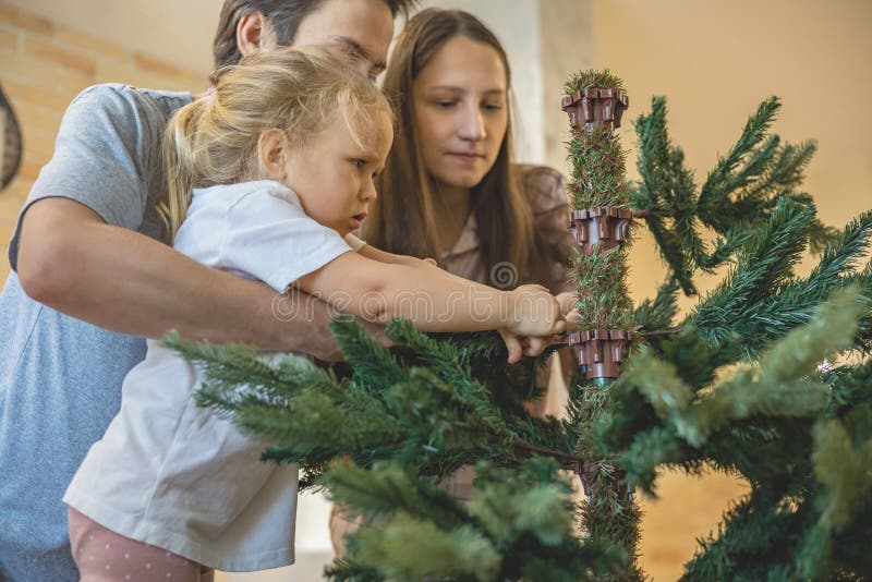 Family Assembling, Shaping Hook-in Artificial Christmas Tree at Home ...