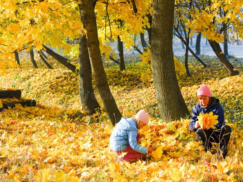 Family in Autumn Maple Park Stock Photo - Image of girl, autumn: 23074730