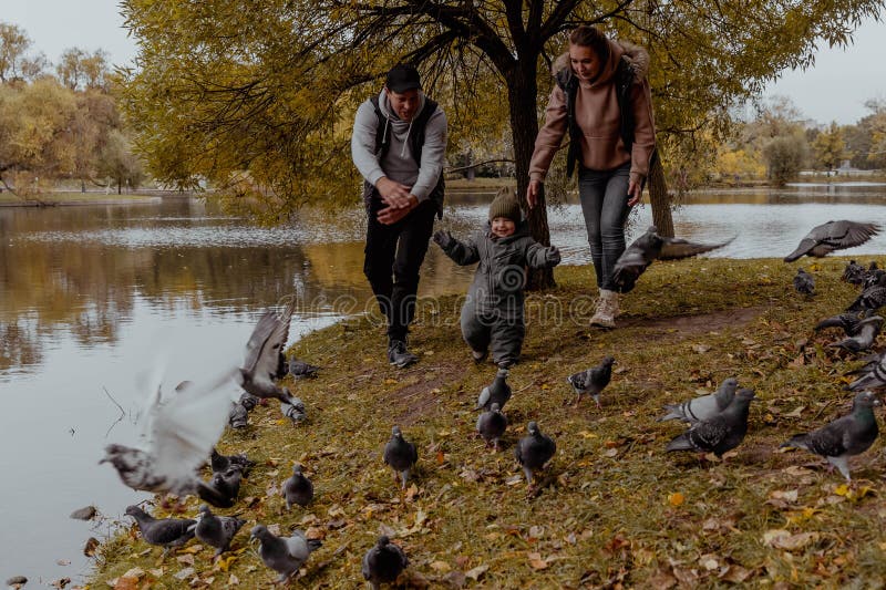 Family in an Autumn Park Chasing Pigeons and Ducks Stock Image - Image ...