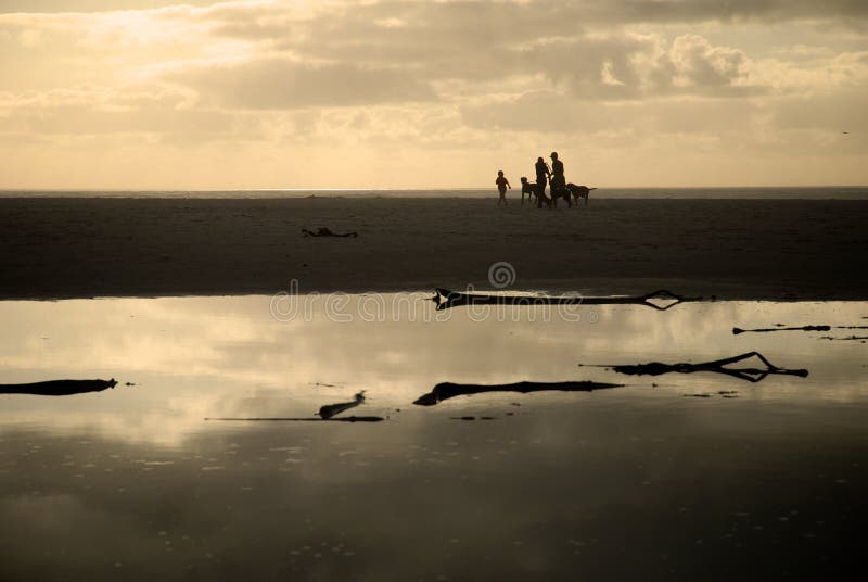Family beach outing stock image. Image of sunset, noordhoek - 24486171