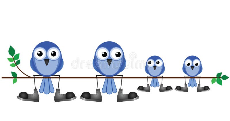 Family of birds stock vector. Illustration of ornithology - 25910221