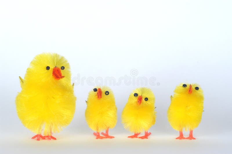 Family of Chicks stock image. Image of beak, fake, four - 1957973