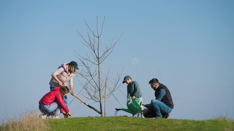 A Family with Children Caring for the Planted Tree Stock Video - Video ...