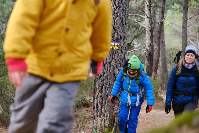 Family Climbing on Top of Each Other in Bed Stock Image - Image of ...