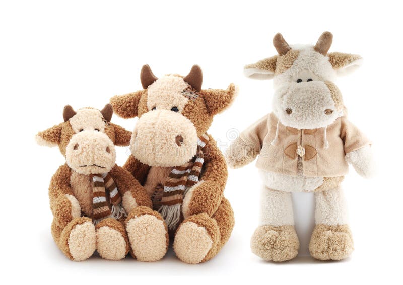 Family of cows stock image. Image of female, brown, animal - 7016521