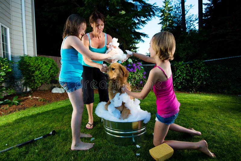 Family Dog Bath stock image. Image of filthy, pretty - 26336695