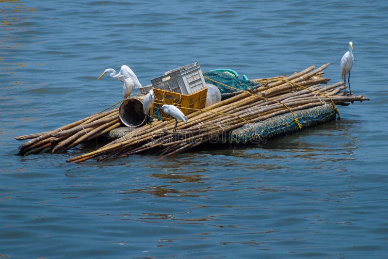 342 Makeshift Boat Photos - Free & Royalty-Free Stock Photos from ...