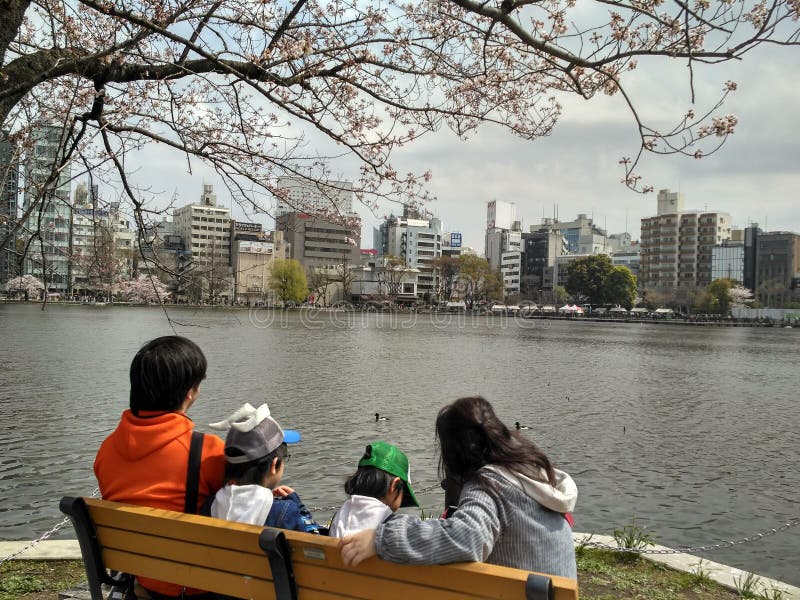 A Family Enjoy Spring Time at Lake Side, Tokyo 2016 Editorial Image ...