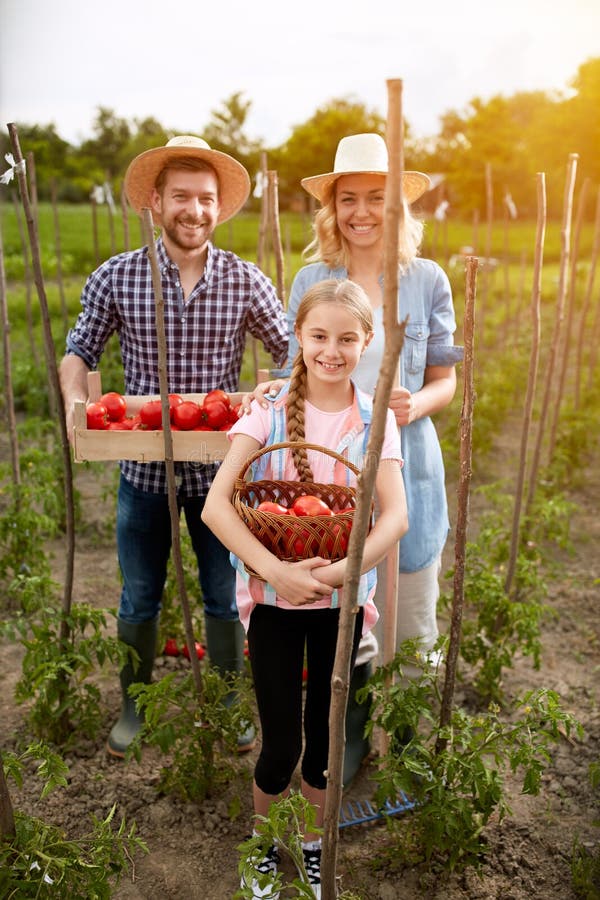 Family farm stock photo. Image of baby, family, brown - 1299220