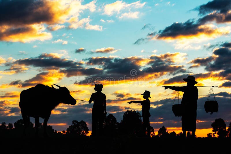 Family farmers at sunset. stock image. Image of country - 86919285