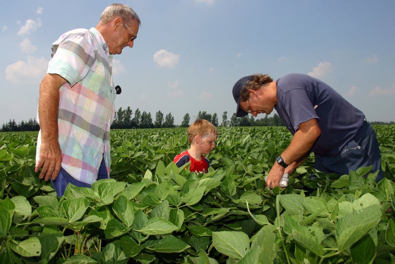 Family Farming editorial photo. Image of field, family - 21652126