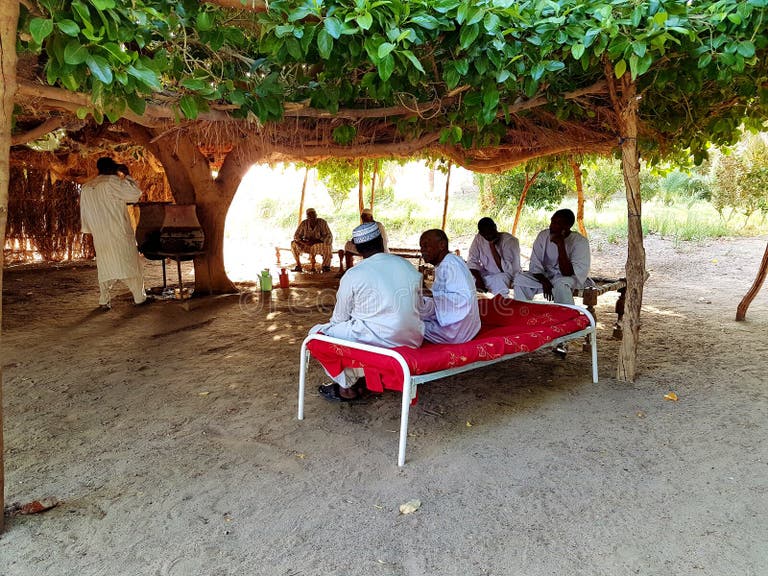 Family gathering in tree editorial stock photo. Image of nature - 186133178