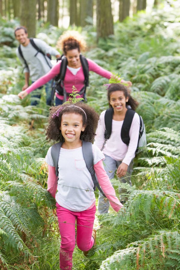 Three Children Playing in Woods Together Stock Photo - Image of person ...