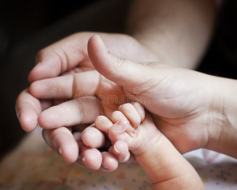 Family Hands stock photo. Image of hands, born, togetherness - 26212942