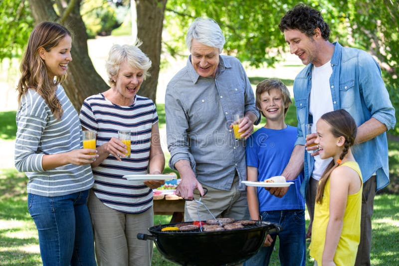 Family having a barbecue stock image. Image of father - 67757783