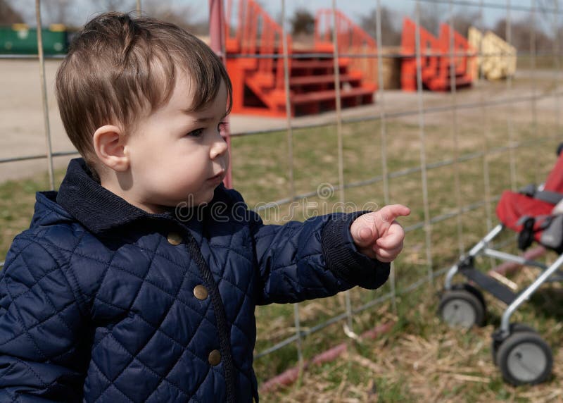 Family Having Fun at County Fair Stock Photo - Image of fence, boyhood ...
