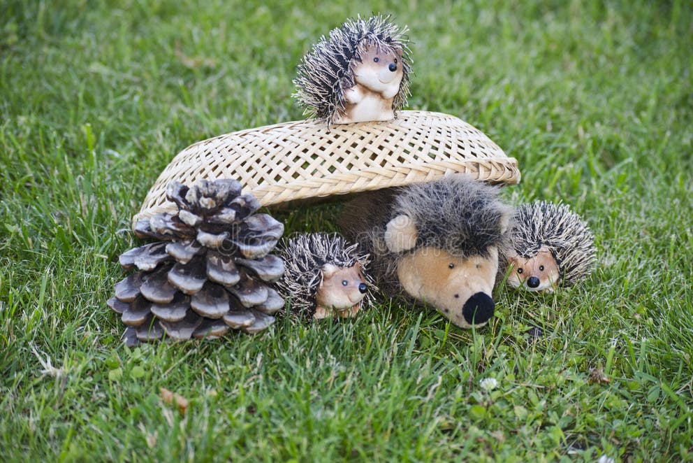 Family of Hedgehogs on the Lawn Stock Photo - Image of plant, garden ...