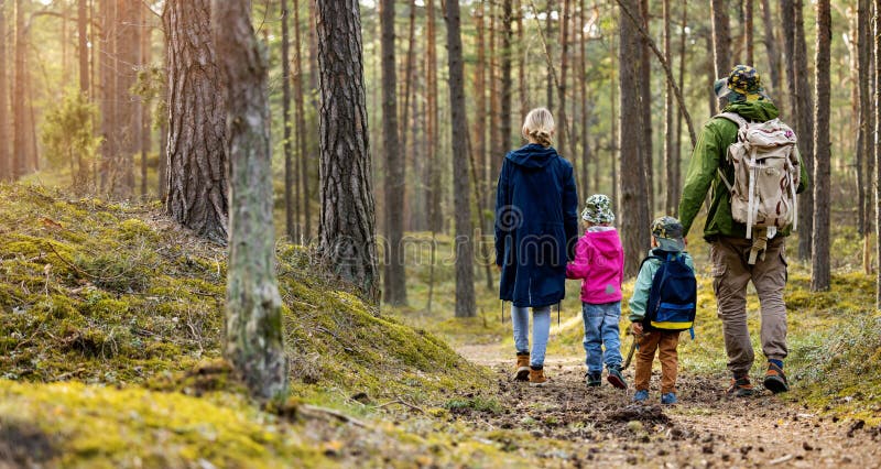 Family Hike in the Forest with Children. Copy Space Stock Image - Image ...