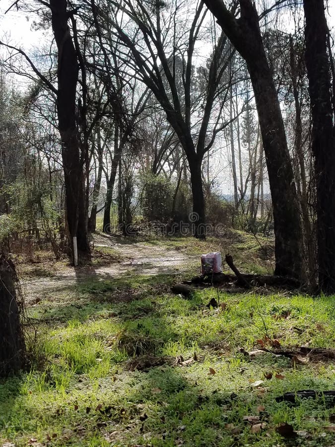 Family Land stock image. Image of family, land, natural - 161933061