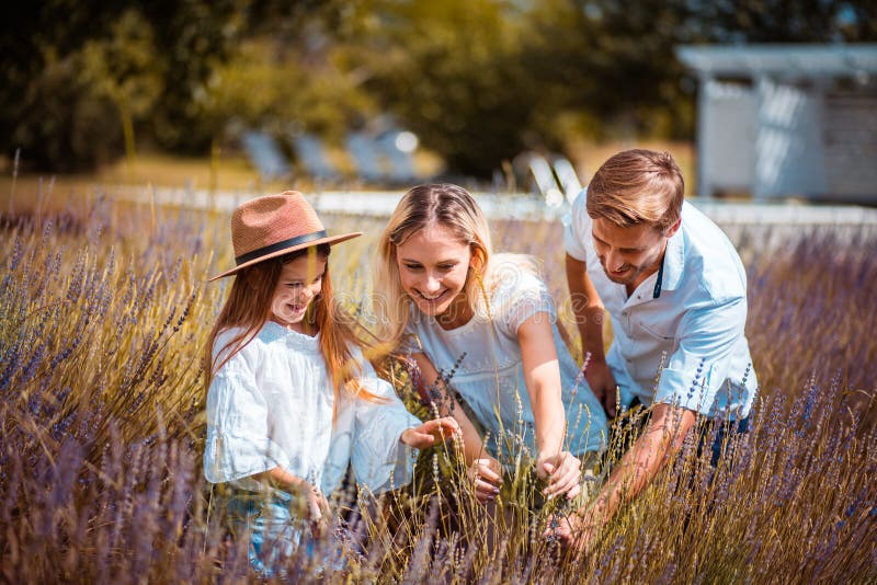 The Family in a Lavender Field Stock Image - Image of happiness ...