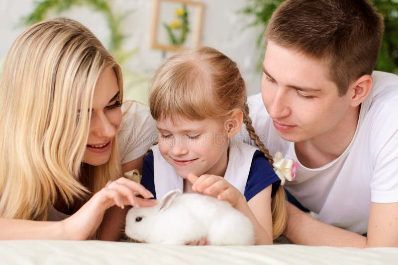 Family Playing with White Rabbit Stock Image - Image of hair, facial ...