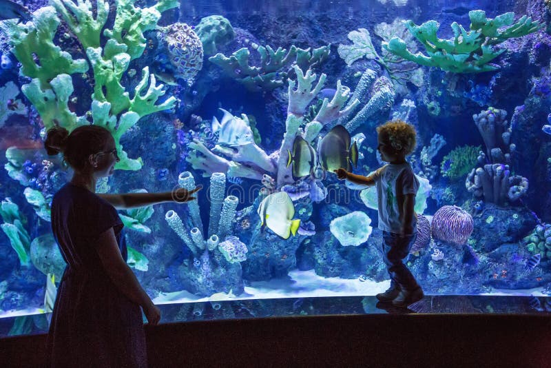 Family Observing Fish at the Aquarium Stock Image - Image of georgia ...