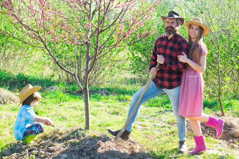 Family Plant in Tree Garden at Spring. Group Work in Springtime Yard ...