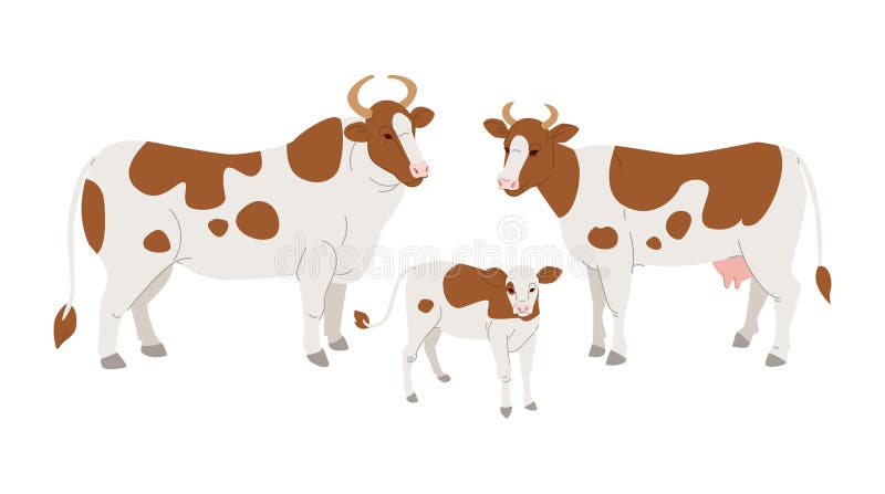 Family Red Cows Set, Isolated. Vector Illustration Stock Vector ...