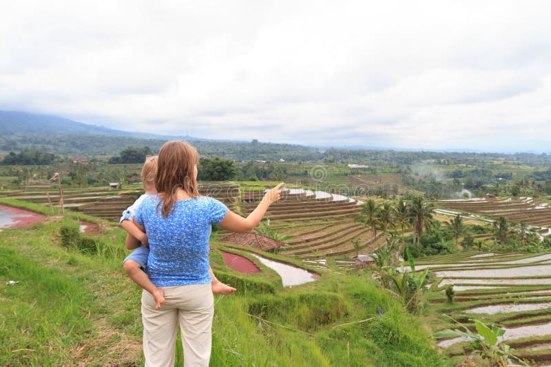 Family in Rice Fields of Bali Stock Photo - Image of holding, outdoor ...