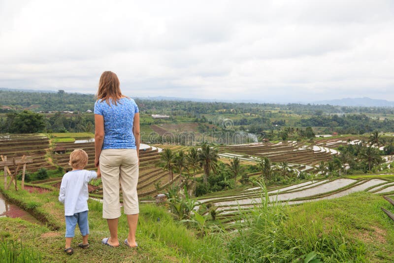 Family in rice fields stock photo. Image of active, crop - 29020908