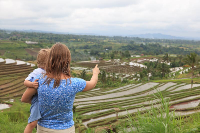 Family in Rice Fields of Bali Stock Photo - Image of holding, outdoor ...